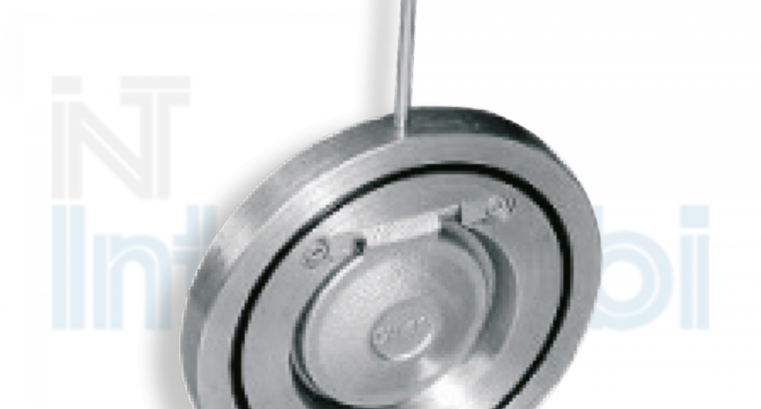 Clapet valves: the importance of gaskets | Intertubi Spa